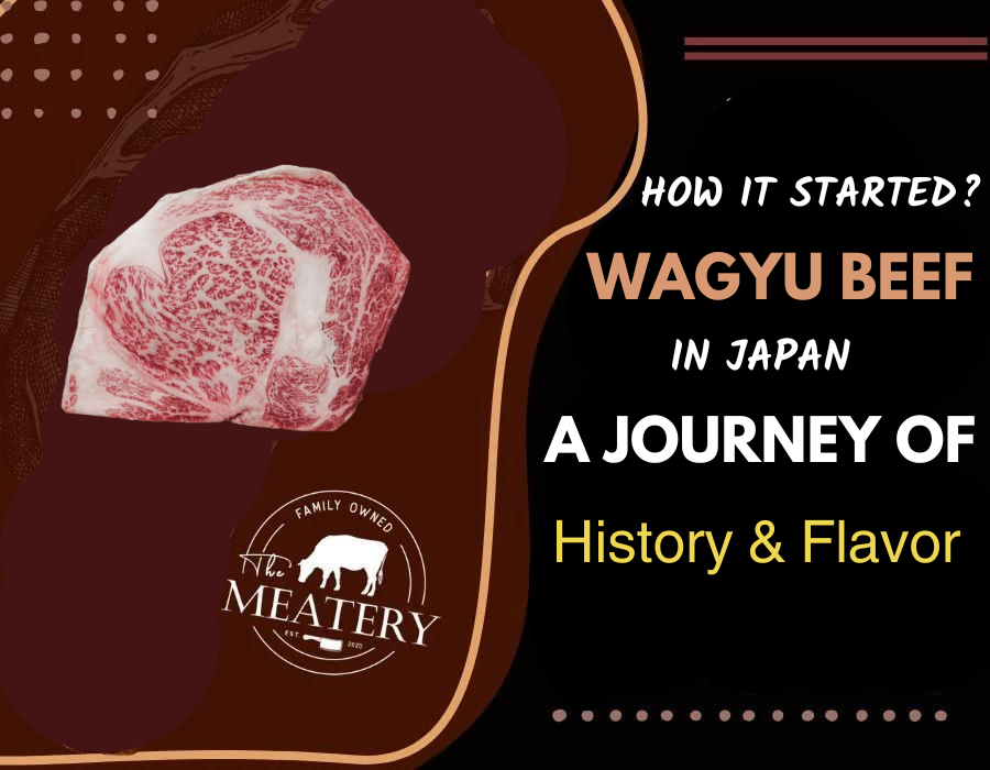 Wagyu Beef in Japan: How it Started - A | The Meatery